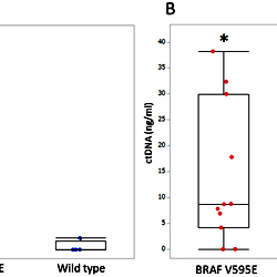 Quantitative analysis of the BRAF V595E mutation in plasma cell-free ...