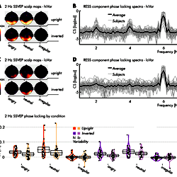 Spectral characteristics of EEG responses to stimulation in Experiment 1.