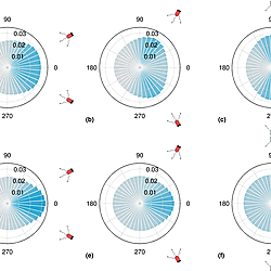Rose plots of the angle of motion for stochastic switching and vector ...
