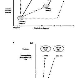 Models of clonal evolution developed by the CNV analysis.