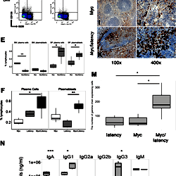 Increased frequency of PCs in Myc/latency mice.