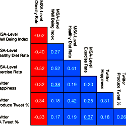 Correlation among four MSA-level measures and three Twitter measures of MSAs.