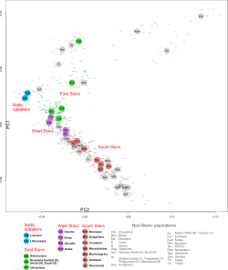 Genetic Heritage of the Balto-Slavic Speaking Populations: A Synthesis ...