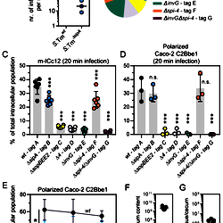 (supporting data for Fig 2).
