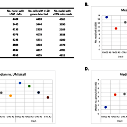 ddSeq 3’ end RNA-seq quality metrics.