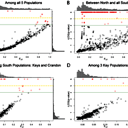 FST values and p-values for all SNPs.