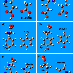 The side chain structures of the 8 amino acids involved in the salt ...