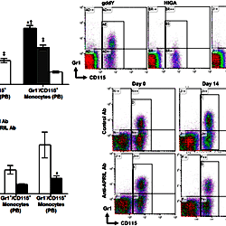 APRIL blockade affects the abundance of Gr1−/CD115+ cells among PBMCs.