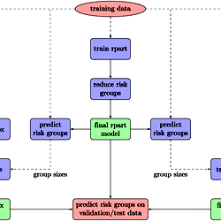 Schematic of the training procedure.