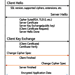 TLS protocol key negotiation process.