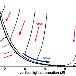 The inertial manifold (i.e., the invariant set in which the dynamics is slowest in time) is low ...