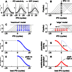 Description of the edge model.