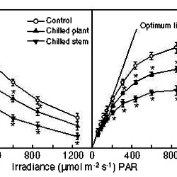 Light response curves.