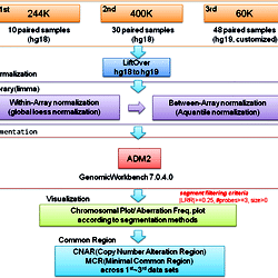 A schematic diagram for identifying a minimal common region.