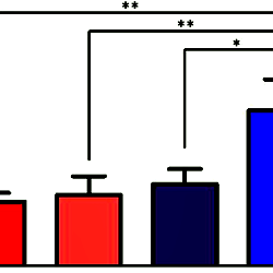 PCR Data.
