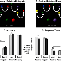 Transitive Inference task and behavioral results.