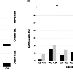 Size distribution for microplastic particles found.
