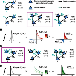 Structural motifs in the network under pair-based and triplet STDP.
