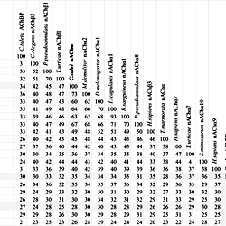 Pairwise percentage identity score matrix for cation selective Cys-loop ...