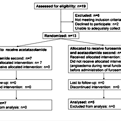 Investigation's flowchart.