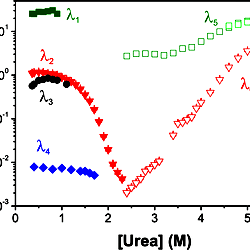 Chevron plot for the fluorescence detected un- and refolding kinetics.