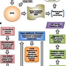 Systems overview of RPTS Application Capabilities.