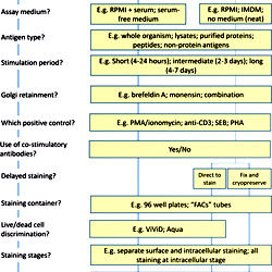 Designing an ICS/flow cytometry experiment.