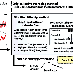 Overview of modified (mMSE) adaptations.