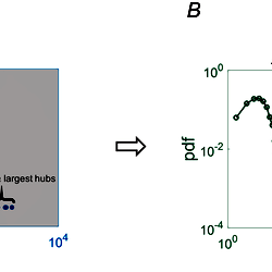 The lumped-hub approximation.