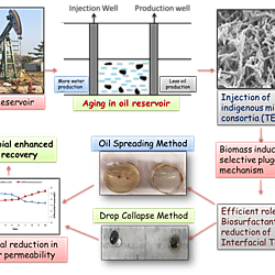 S1 Graphical abstract