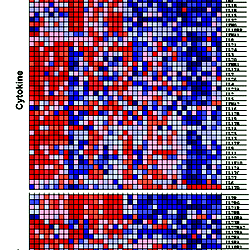 A dendrogram produced by hierarchical cluster analysis and an ...