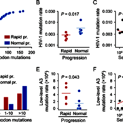 Association between HIV-1 mutation rate and disease progression markers.