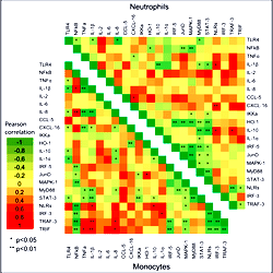 Pearson’s heat map correlations between the mRNA expression of several ...