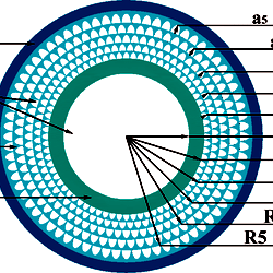 Schematic diagram of the designed PCF.