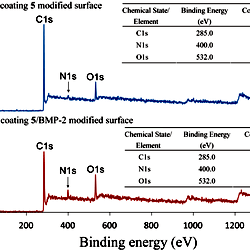 XPS survey spectra of (a) coating 5 modified surface and (b) coating 5/BMP-2 modified surface.