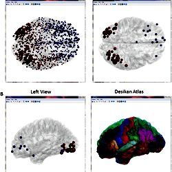 Example of the nodes visualization control.