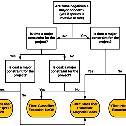 Decision tree for choosing the protocol which will yield the most ...