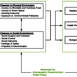 Conceptual model of gentrification and health.
