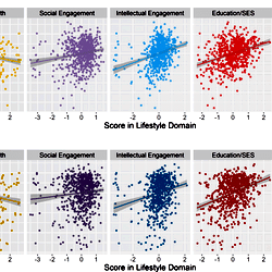 Individual path models.