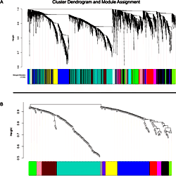 (A) Cluster dendrogram and module assignment for mRNA modules from ...