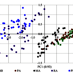 The PC biplot drawn based on the two major PCs calculated for fruit ...
