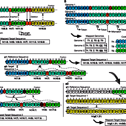 Compression schemes.