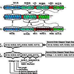 Second-order mapping.