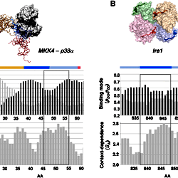 Prediction of context-dependent regions by the FuzPred method.