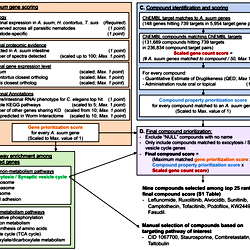Detailed flowchart description of the prioritization process.