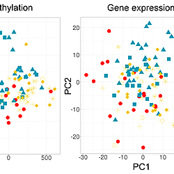 PCA plots of DNA methylation and gene expression as in Fig 1, with ...