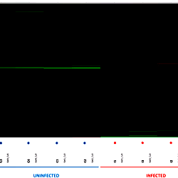 Heat-map with dendrograms from the hierarchical clustering analysis ...