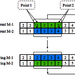 Schematic diagram of two-point crossover.