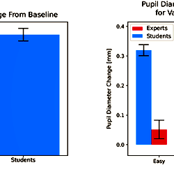 Pupillary response of experts and novices during visual Inspection.