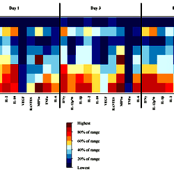 Heat map display of cytokine and chemokine productions.